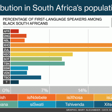 Animated infographic of South Africa's languages according to province ...