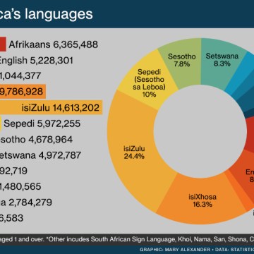 Graphs showing South Africa's languages according to Census 2022 ...